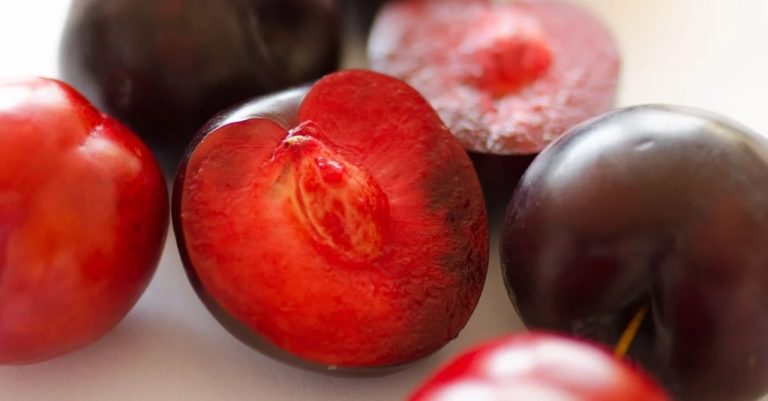 How to Tell if Plum Red Inside – Garden Design