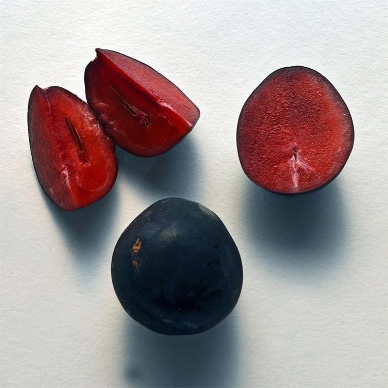 How to Tell if Plum Red Inside - Garden Design