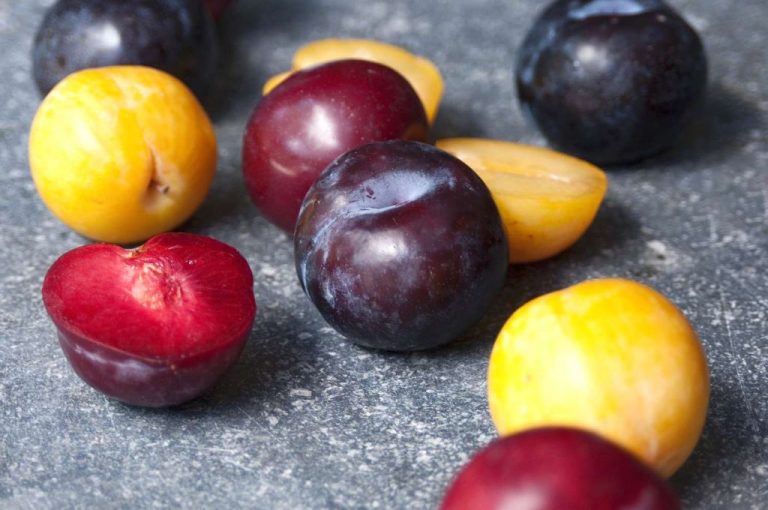 How to Tell if Plum Red Inside - Garden Design