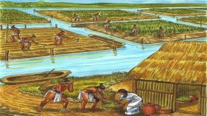The Miraculous Chinampas: How Aztec Engineers Created Floating Gardens ...